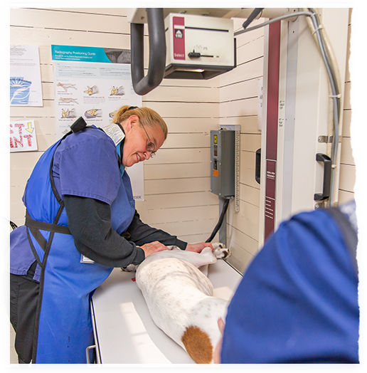 Diagnostics - Athens