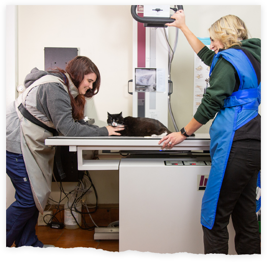 Diagnostics - Athens